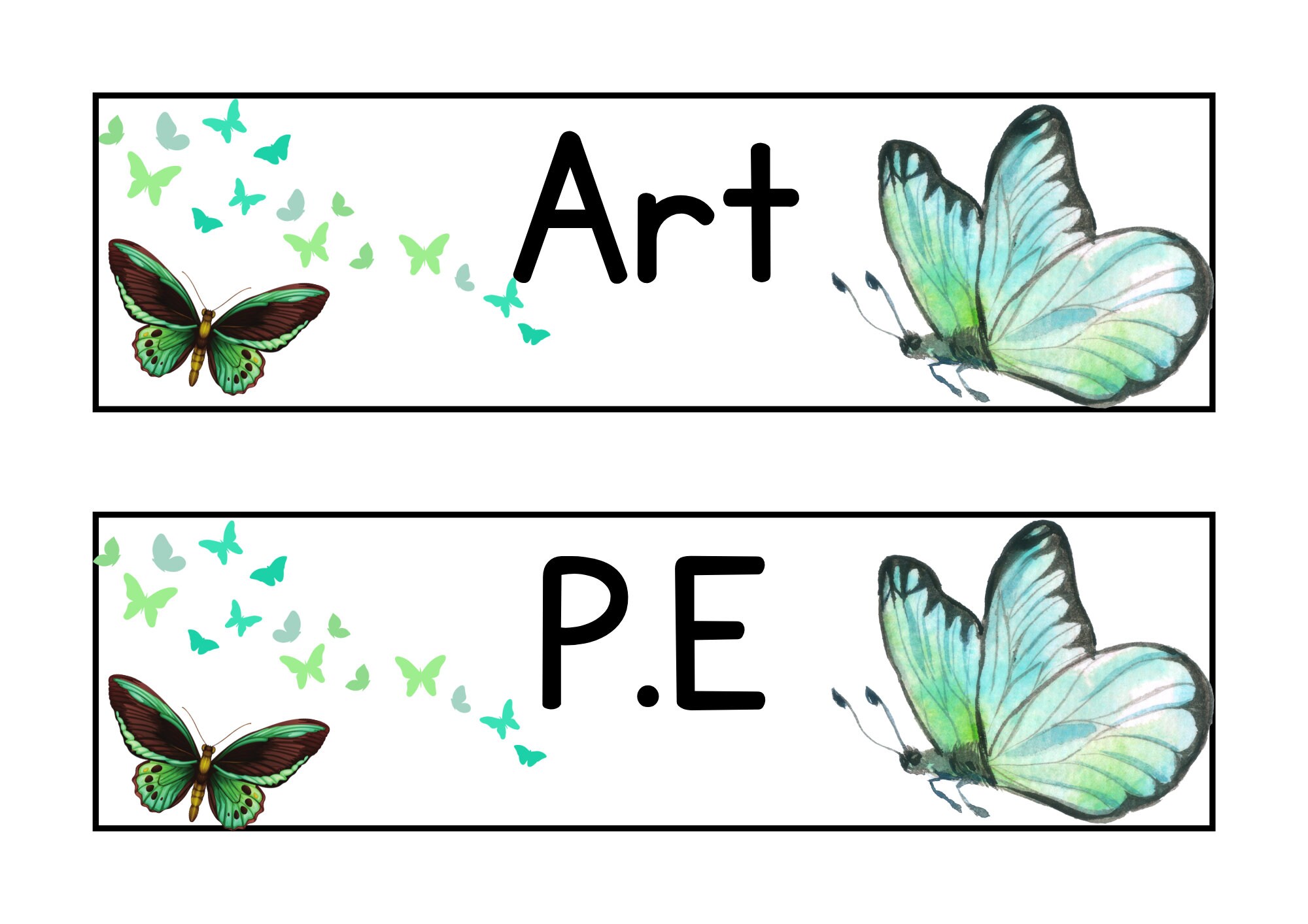 Butterfly Visual Class Schedule, Butterfly Bulletin Board, Visual ...