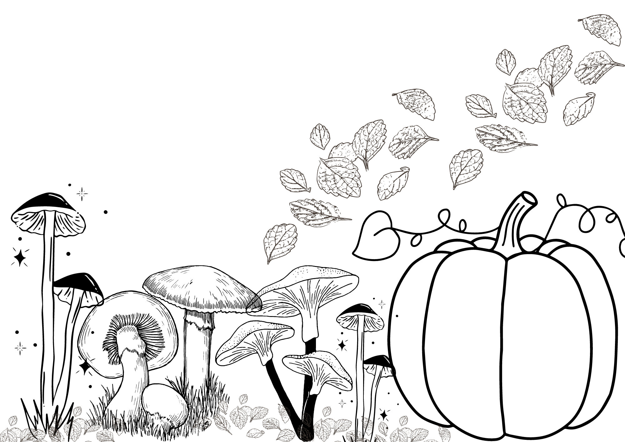 Fall Coloring Page Printable 18 Page Pack, Teacher Resource, Fall ...