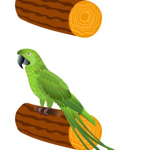 Jungle Bulletin Board Printable, Welcome to the Jungle Bulletin Board ...