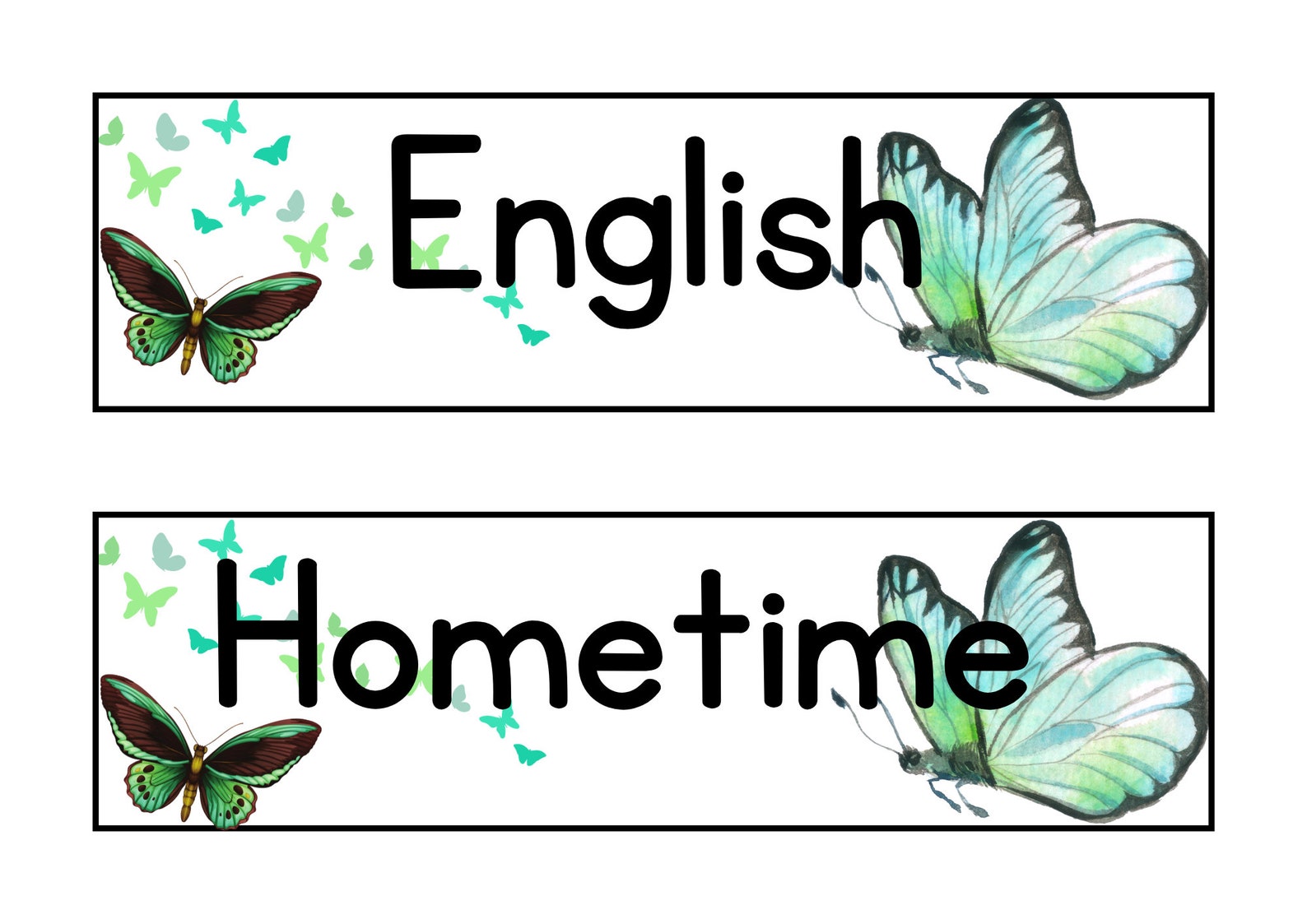 Butterfly Visual Class Schedule, Butterfly Bulletin Board, Visual ...