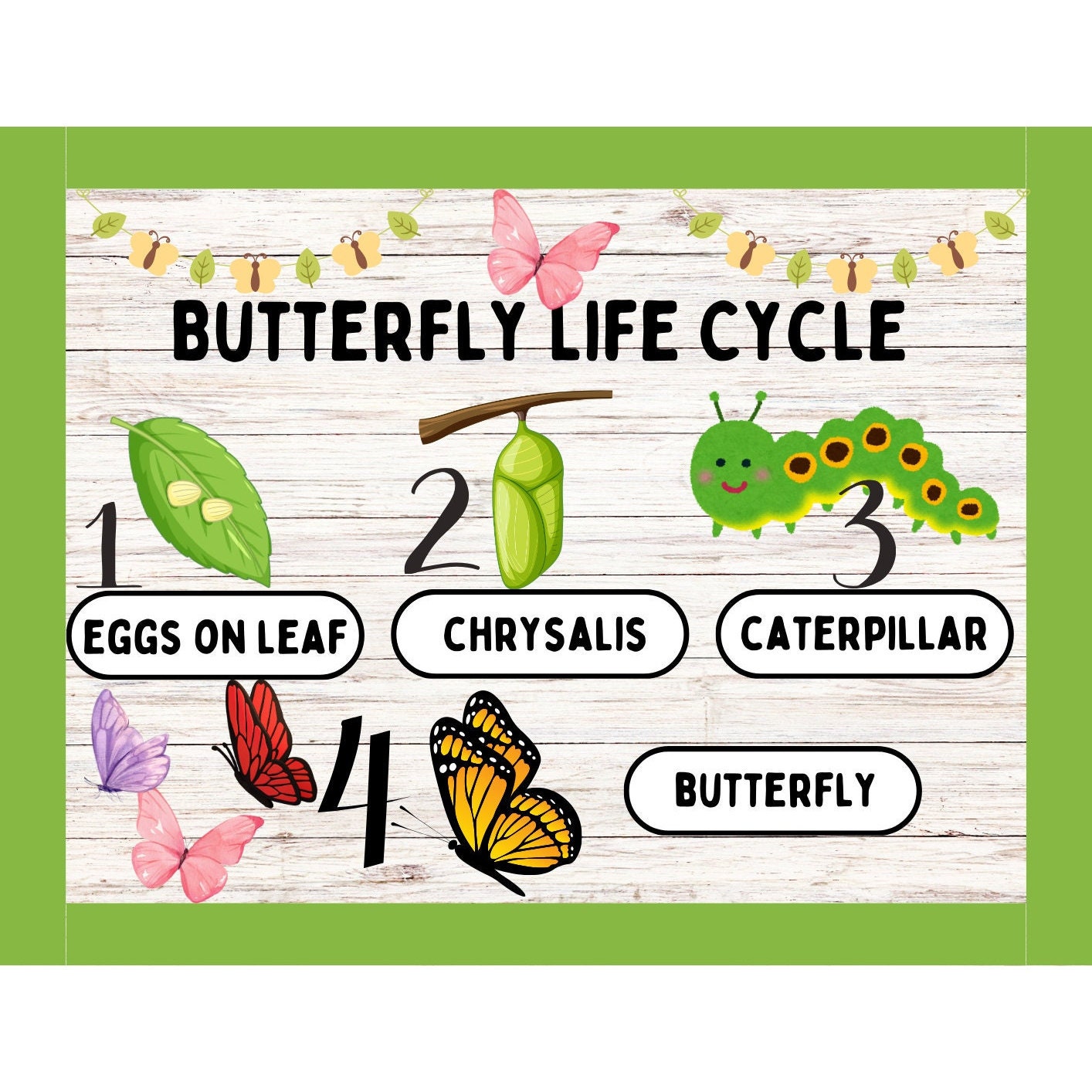 Butterfly Life Cycle Bulletin Board Printable, Butterfly Bulletin Board ...