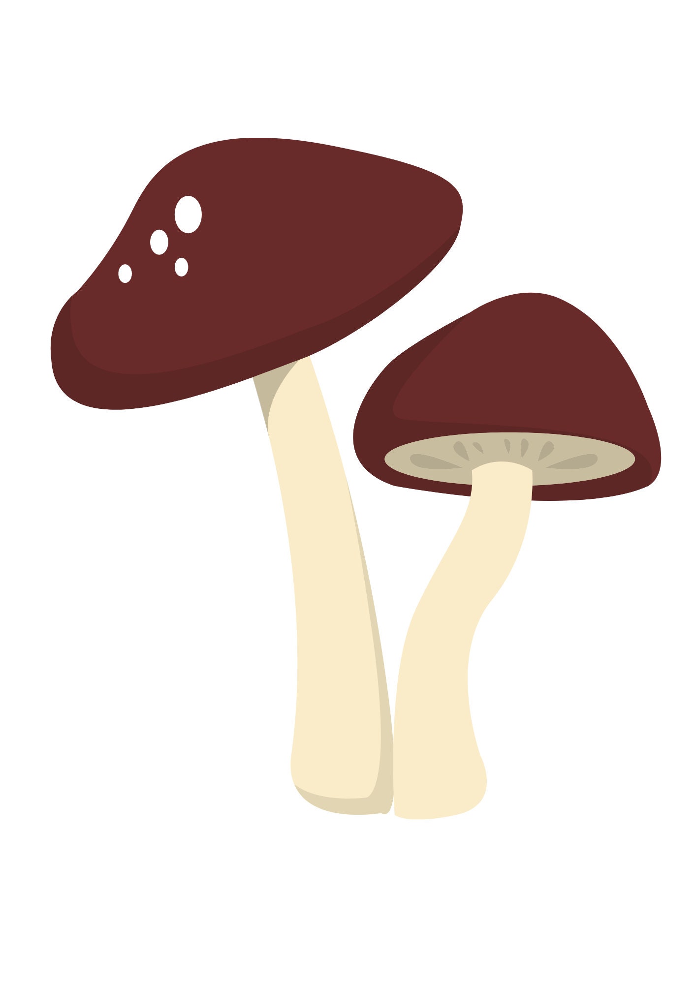 Fall Bulletin Board Kit Fall Welcome to Our Patch Fall - Etsy