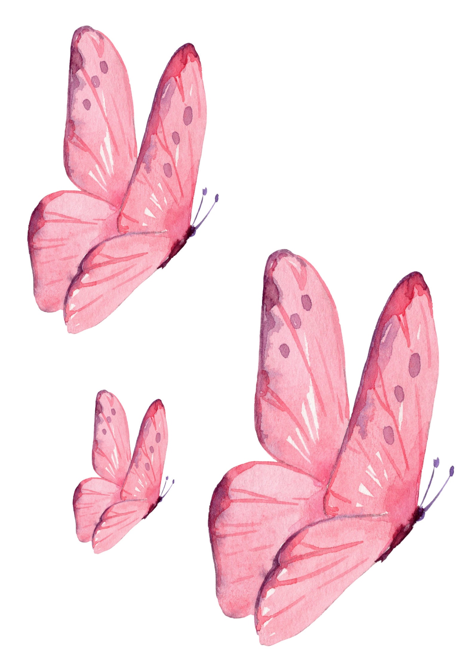 Spring Bulletin Board Printable, Butterfly Bulletin Board, Positive ...