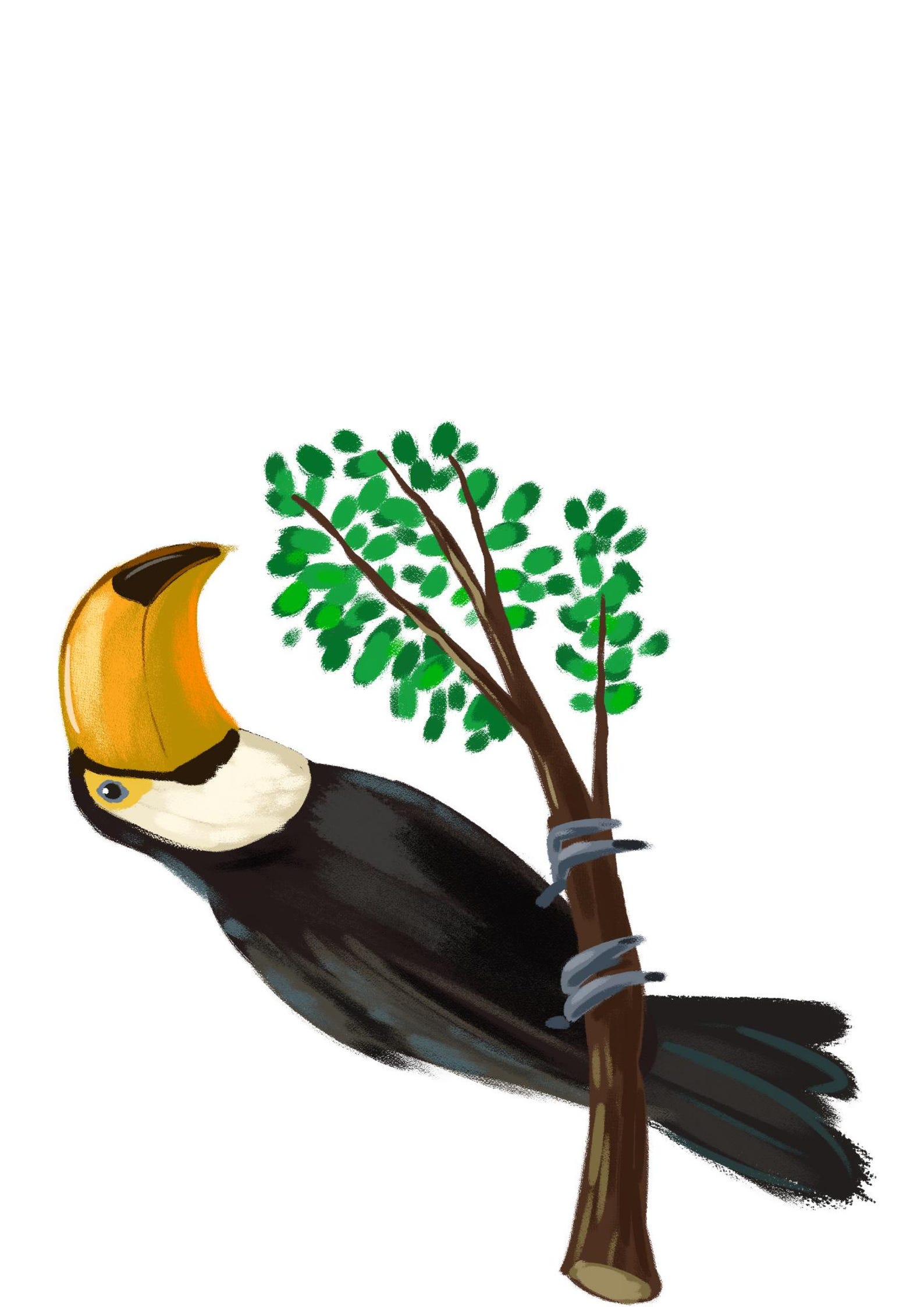 Jungle Bulletin Board Printable, Welcome to the Jungle Bulletin Board ...