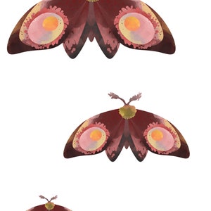 Dark Academia Bulletin Board Printable: Edgar Allan Poe Quote (A4 PDF ...