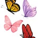 Butterfly Life Cycle Bulletin Board Printable: Metamorphosis Chart (A4 ...