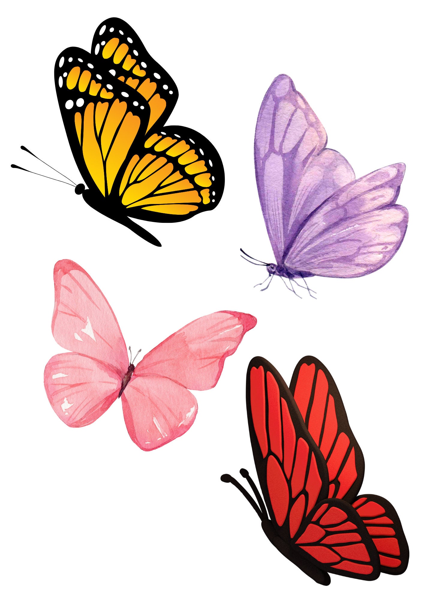 Butterfly Life Cycle Bulletin Board Printable, Butterfly Bulletin Board ...