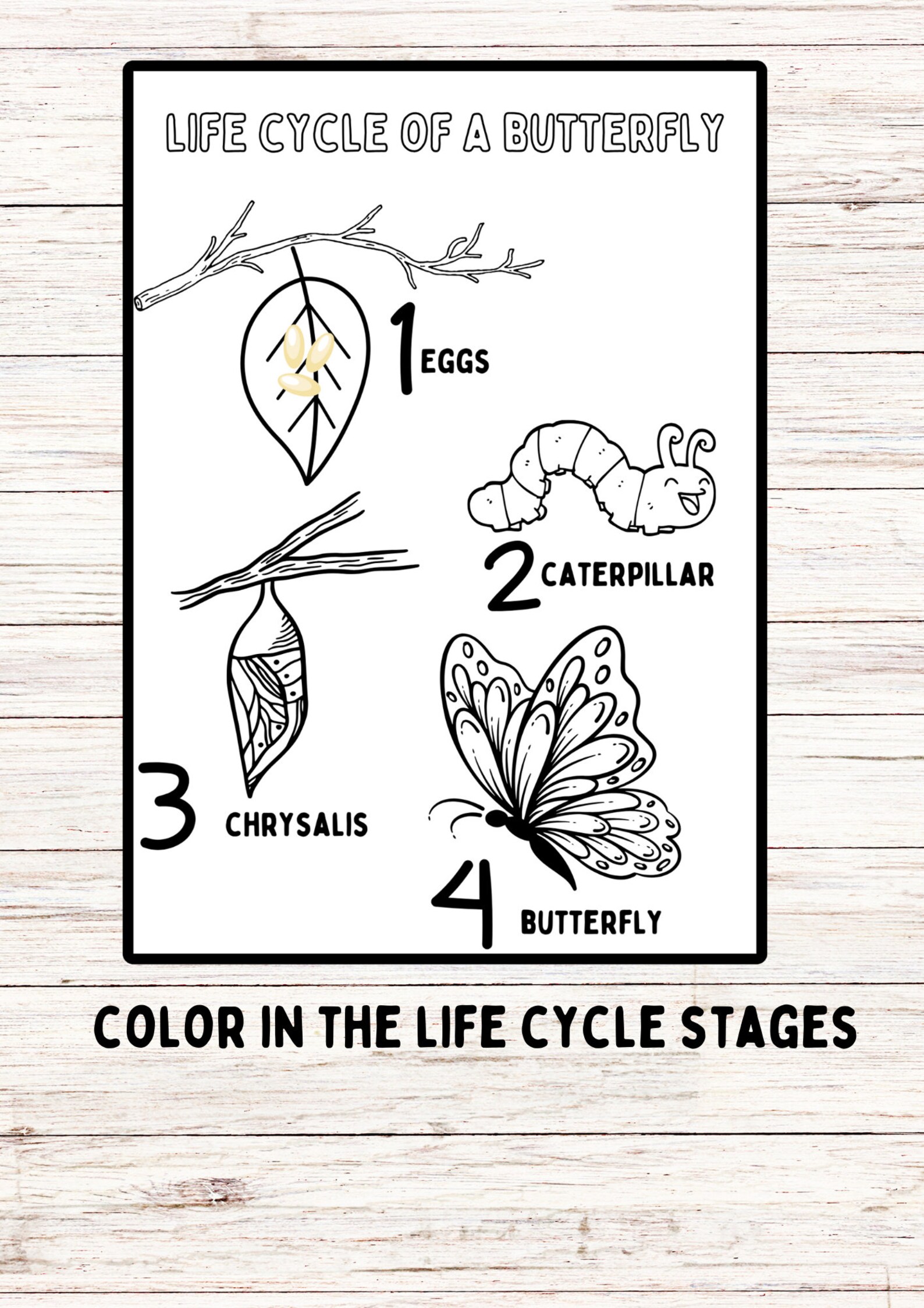 Butterfly Life Cycle Craft Printable, Butterfly Life Cycle Printable ...