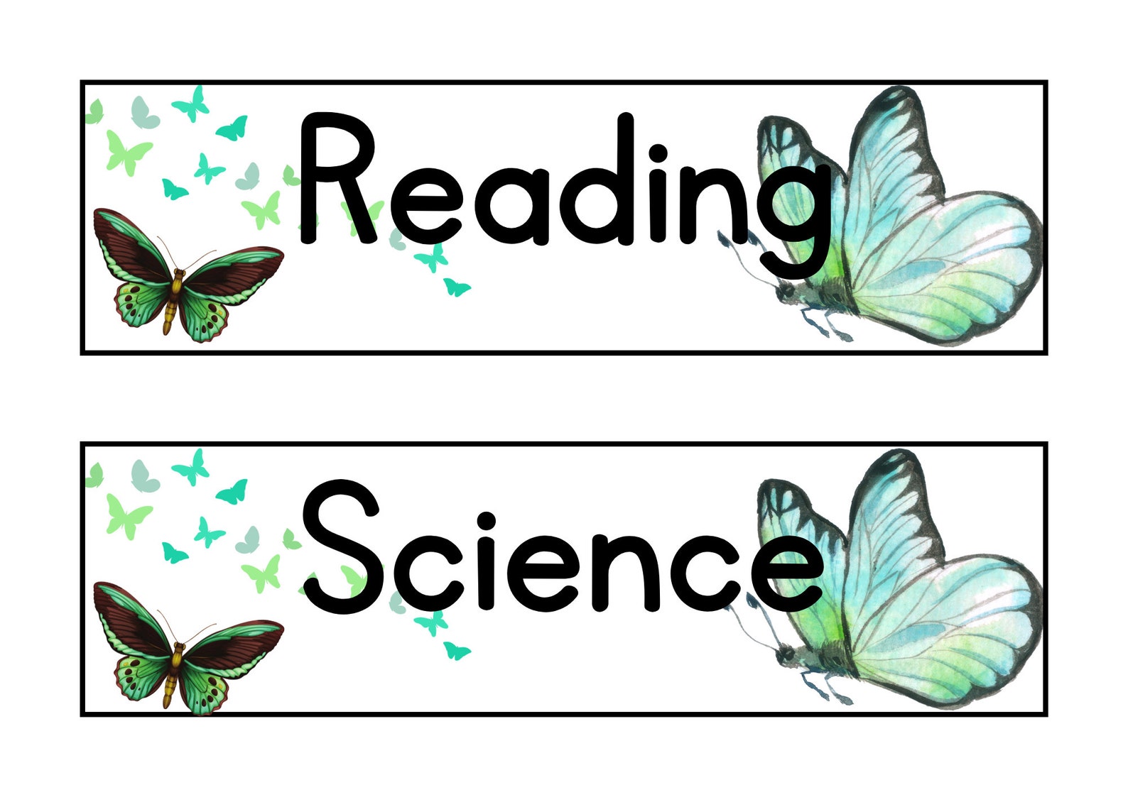 Butterfly Visual Class Schedule, Butterfly Bulletin Board, Visual ...