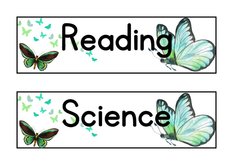 Butterfly Visual Class Schedule, Butterfly Bulletin Board, Visual ...