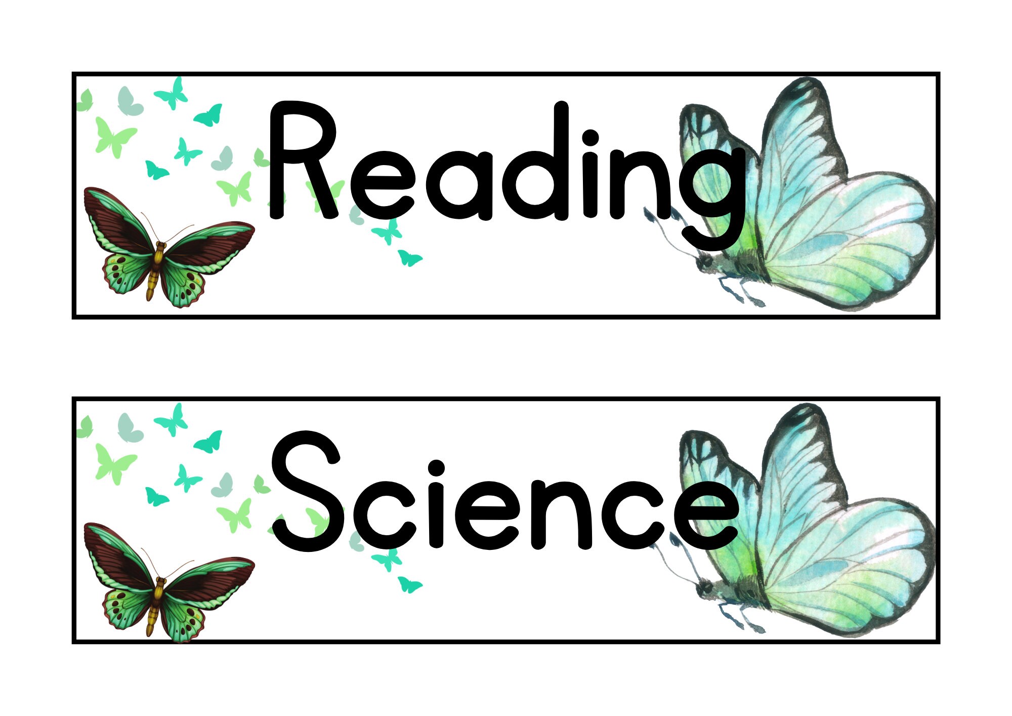 Butterfly Visual Class Schedule, Butterfly Bulletin Board, Visual ...