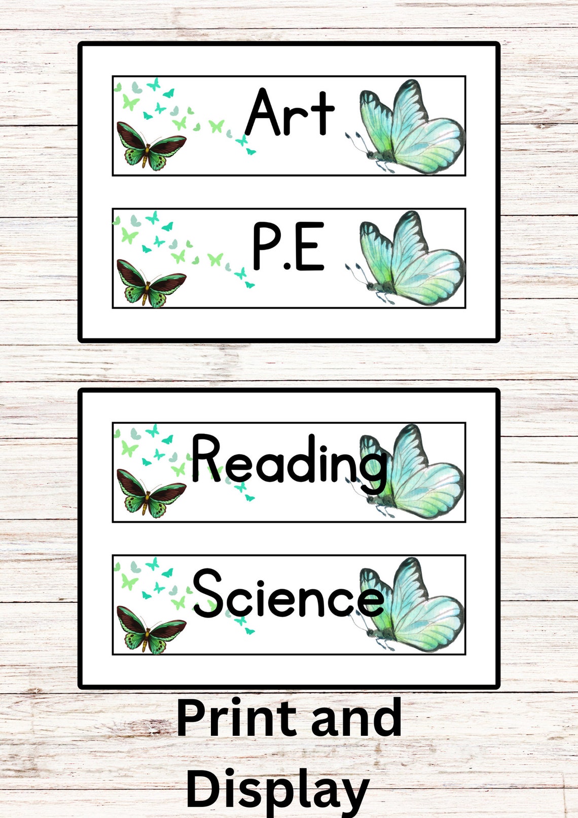Butterfly Visual Class Schedule, Butterfly Bulletin Board, Visual ...