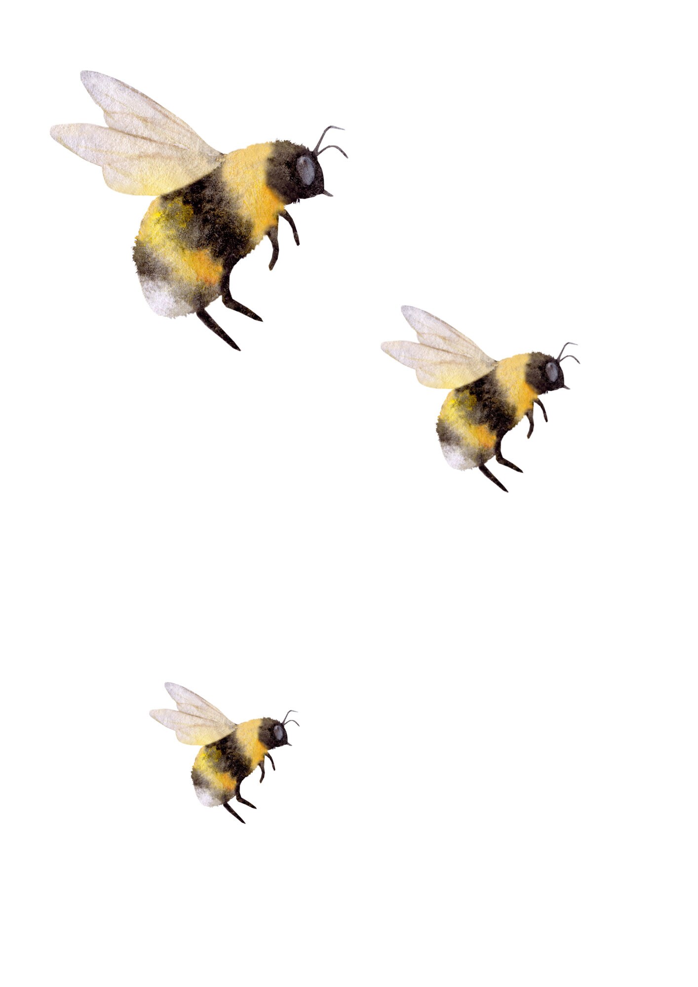 Bee Spring Bulletin Board Printable: Classroom Decor (A4 PDF) - Etsy
