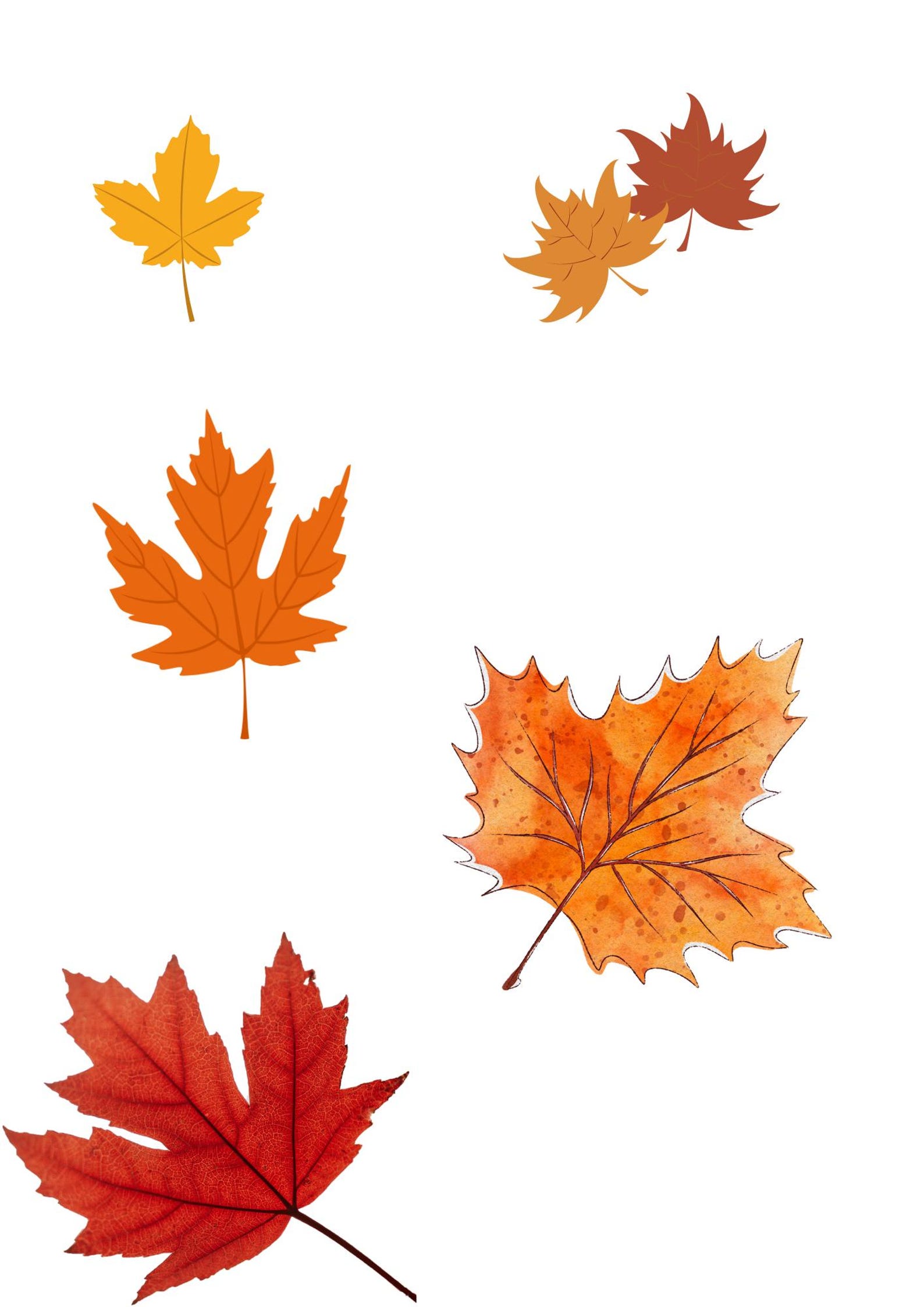 Christian Fall Bulletin Board Printable: Apple & God's Values (A4 PDF ...