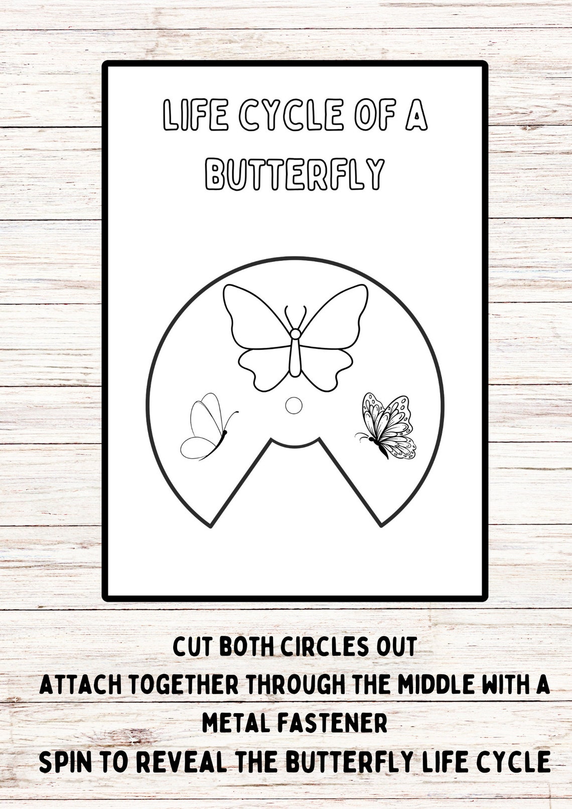 Butterfly Life Cycle Craft Printable, Butterfly Life Cycle Printable ...