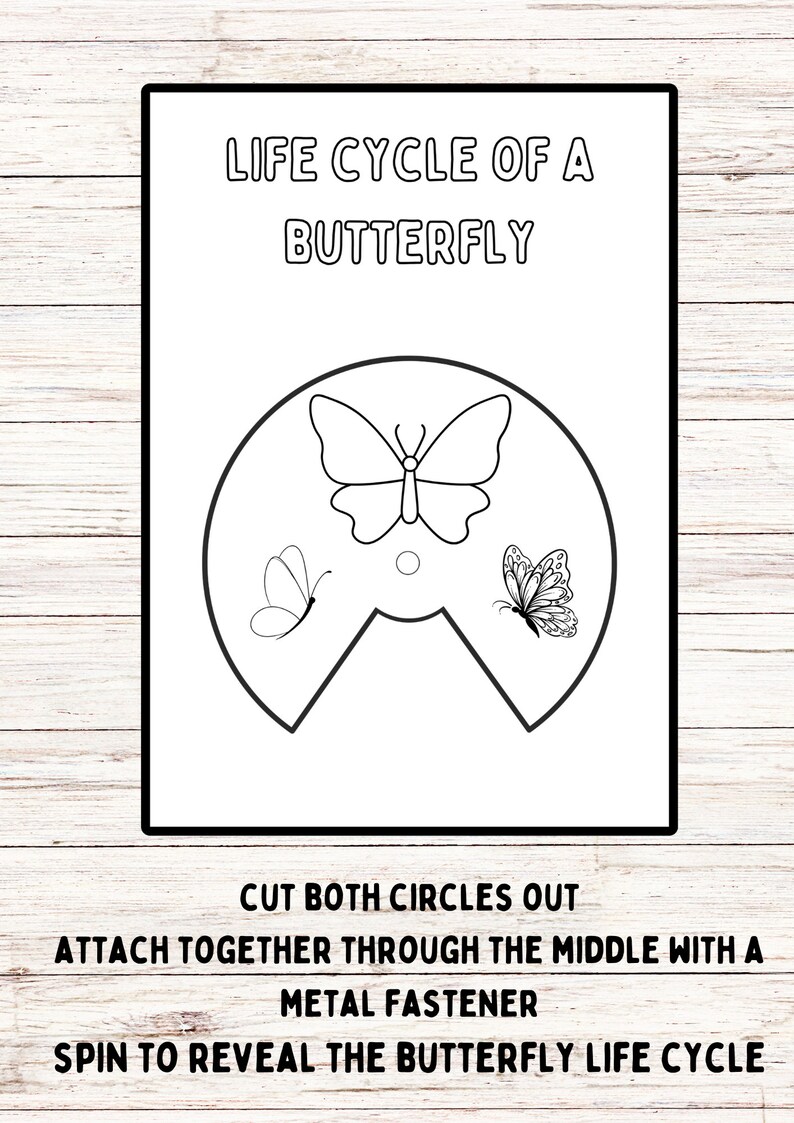 Butterfly Life Cycle Craft Printable, Butterfly Life Cycle Printable ...