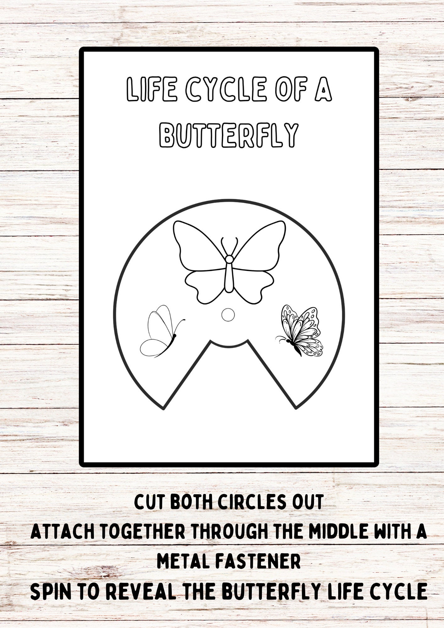 Butterfly Life Cycle Craft Printable, Butterfly Life Cycle Printable ...