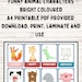 Preschool Emotions Flash Cards Printable, Feelings Flash Cards, Animal ...