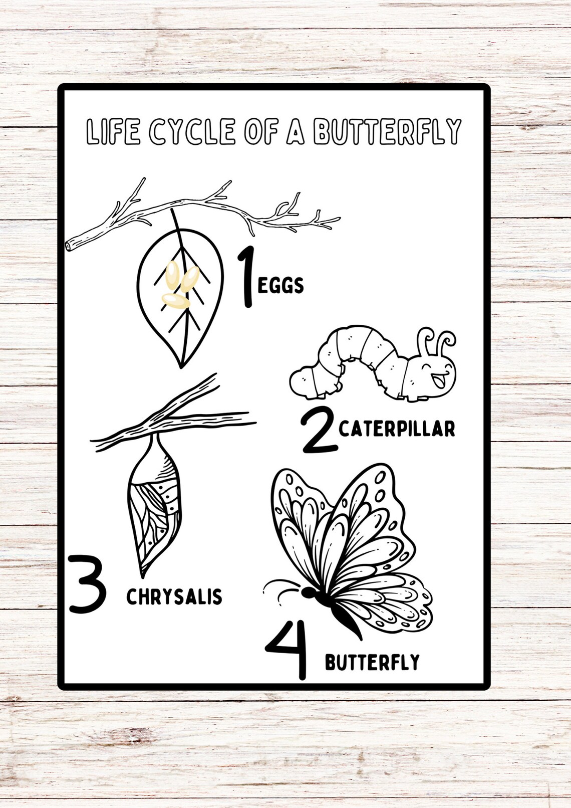 Butterfly Life Cycle Craft Printable, Butterfly Life Cycle Printable ...