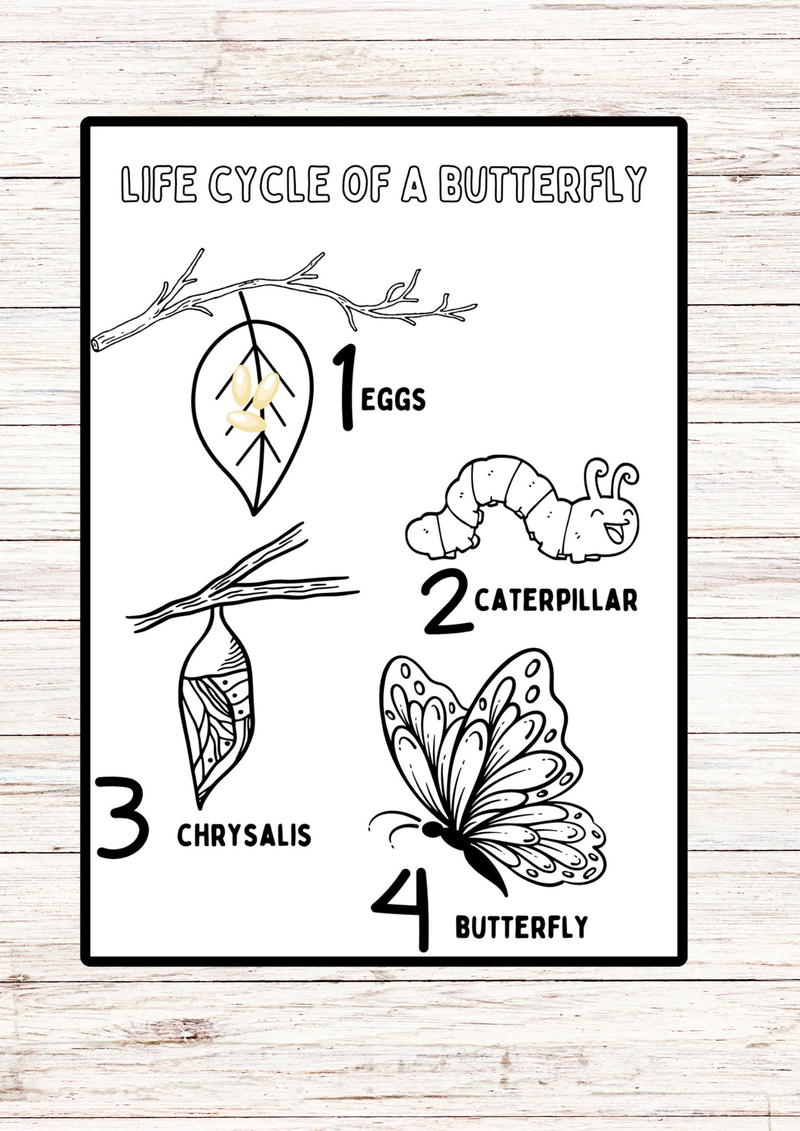 Butterfly Life Cycle Craft Printable, Butterfly Life Cycle Printable ...