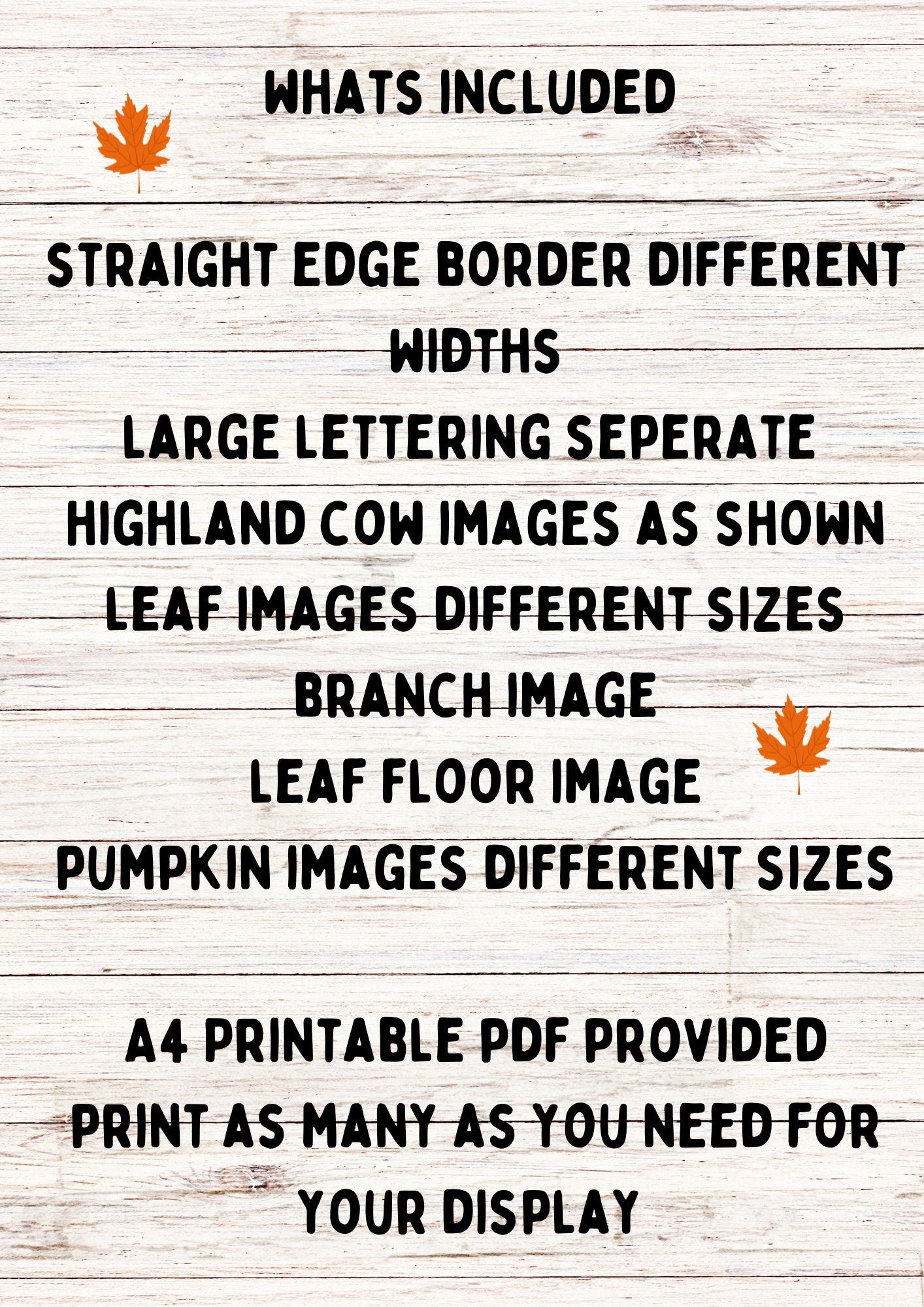 Highland Cow Fall Bulletin Board Printable: Autumn Classroom Decor (A4 ...