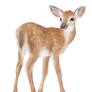 Woodland Winter Animals Bulletin Board Printable (A4 PDF) - Etsy