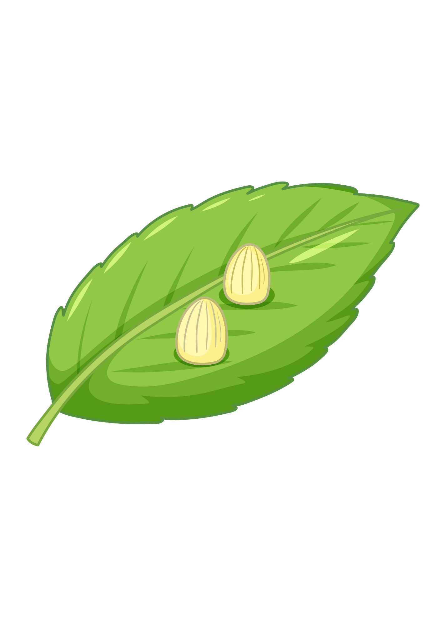 Butterfly Life Cycle Bulletin Board Printable, Butterfly Bulletin Board ...