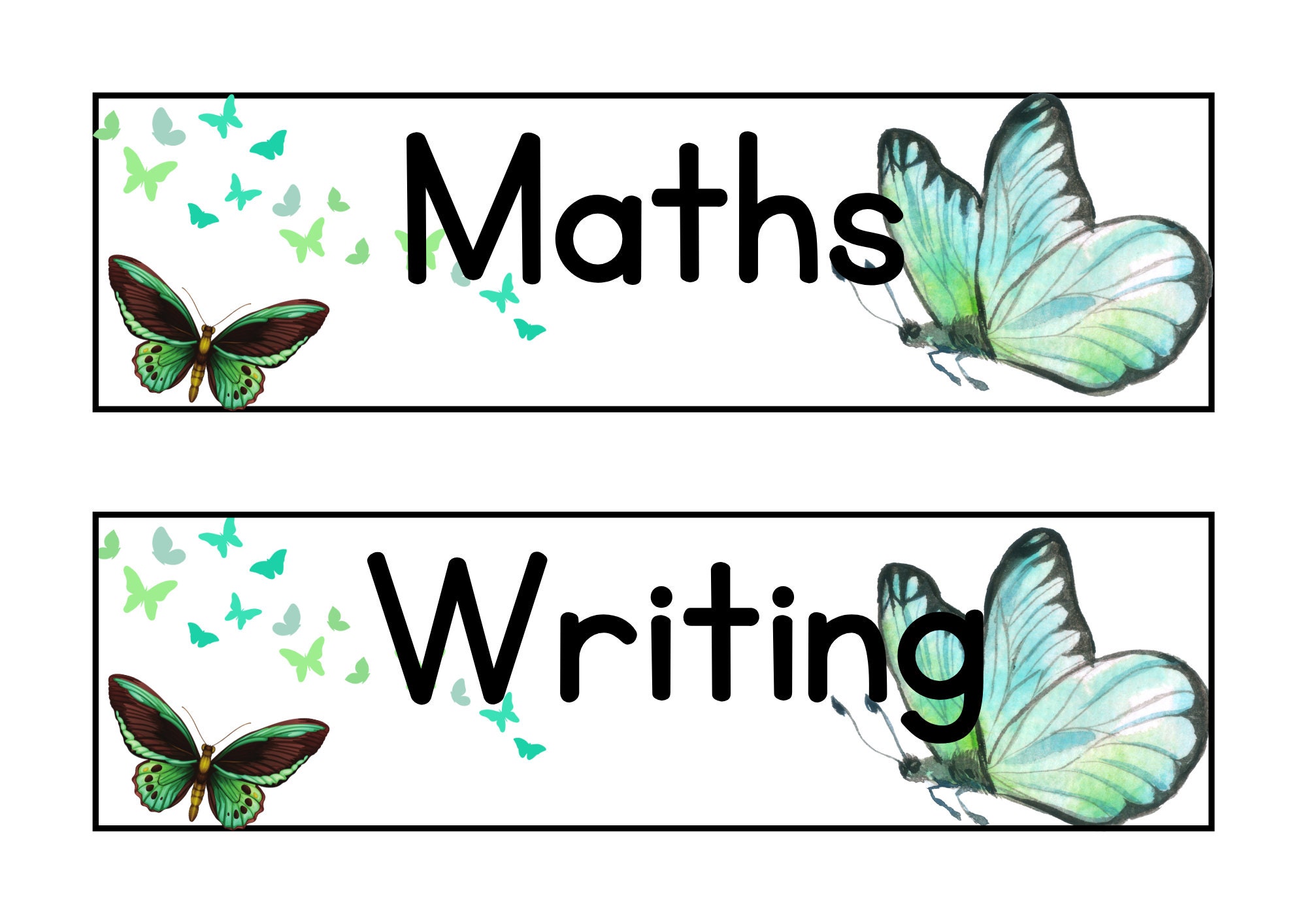 Butterfly Visual Class Schedule, Butterfly Bulletin Board, Visual ...