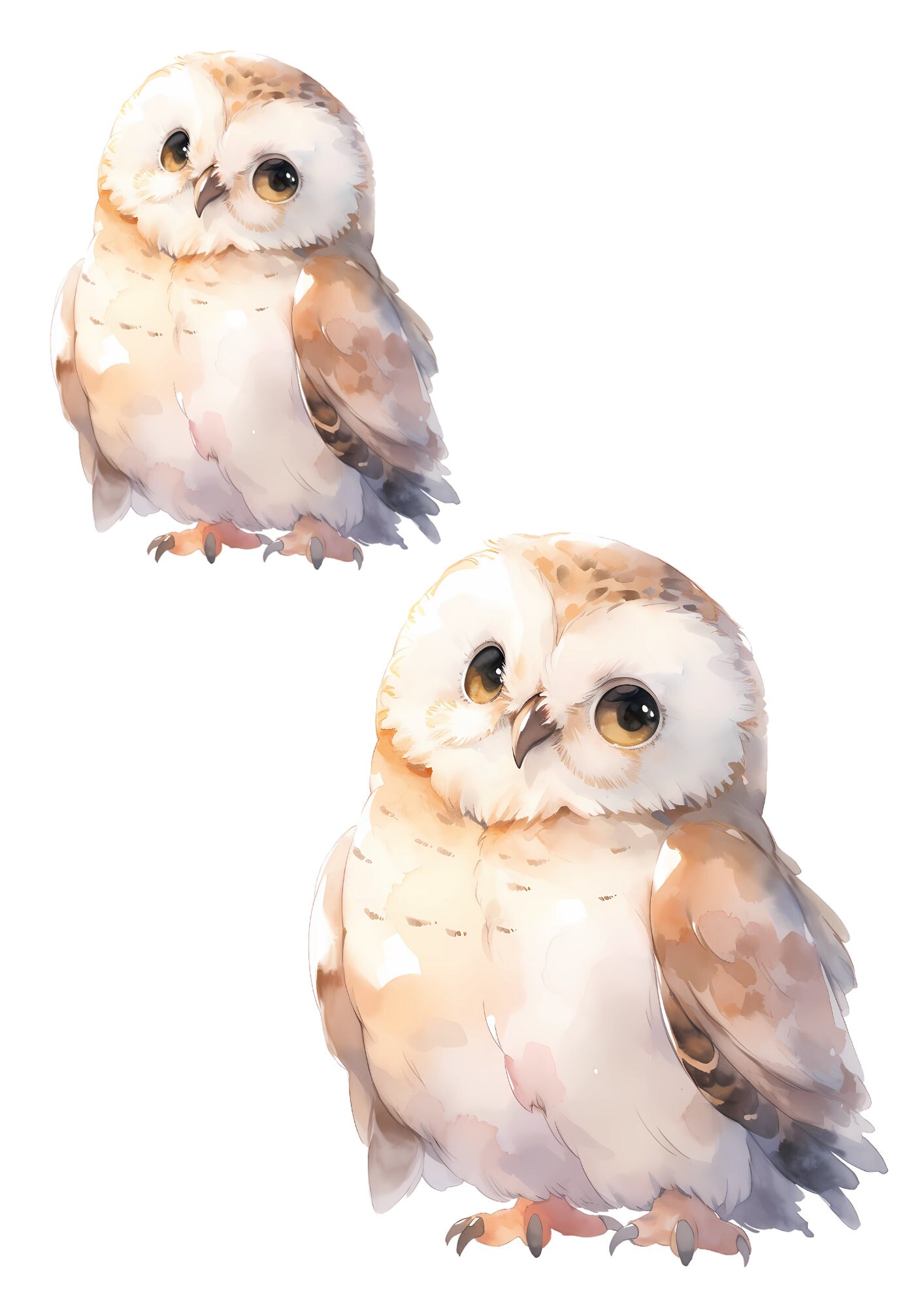 Woodland Winter Animals Bulletin Board Printable (A4 PDF) - Etsy