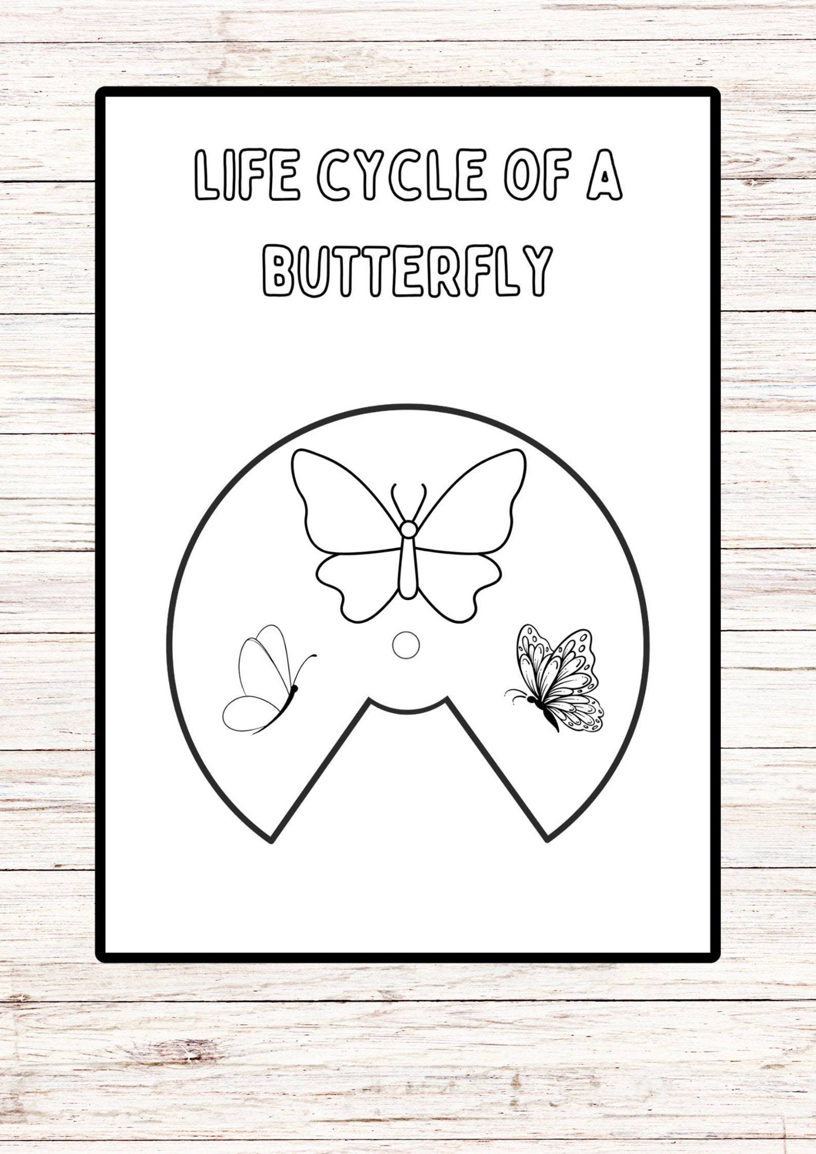 Butterfly Life Cycle Craft Printable, Butterfly Life Cycle Printable ...
