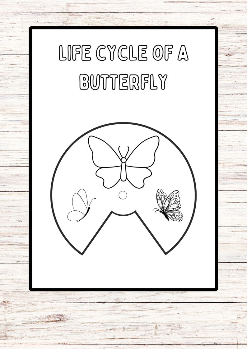 Butterfly Life Cycle Craft Printable, Butterfly Life Cycle Printable ...
