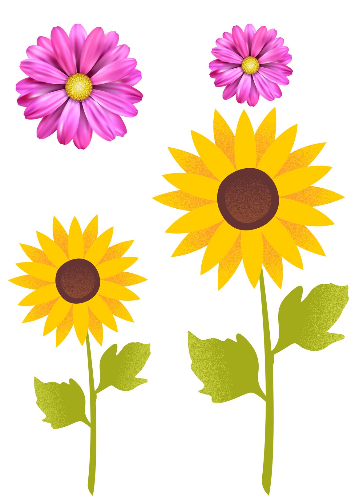 Summer Bulletin Board Printable, Flower Bulletin Board, Growth Mindset ...