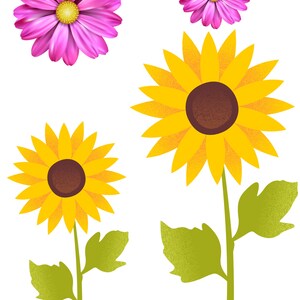 Summer Bulletin Board Printable, Flower Bulletin Board, Growth Mindset ...