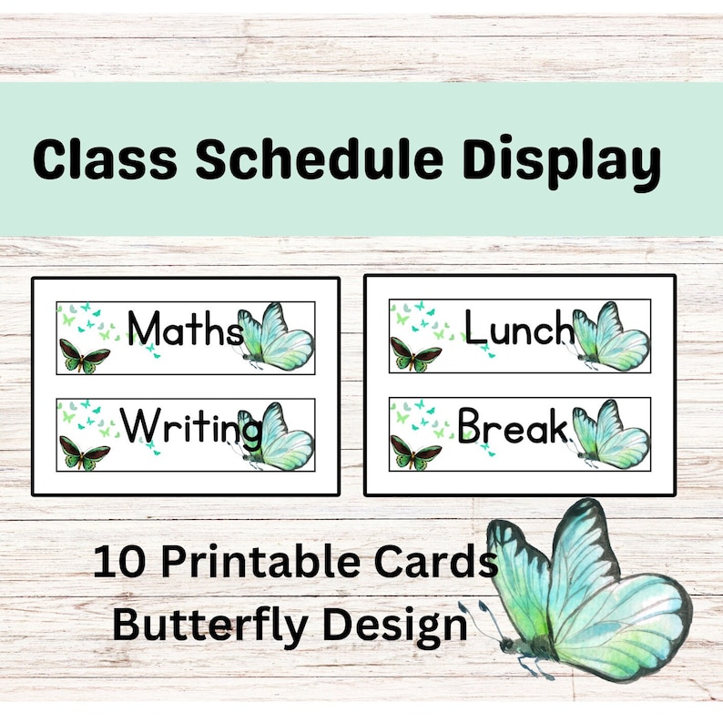 Butterfly Visual Class Schedule, Butterfly Bulletin Board, Visual ...