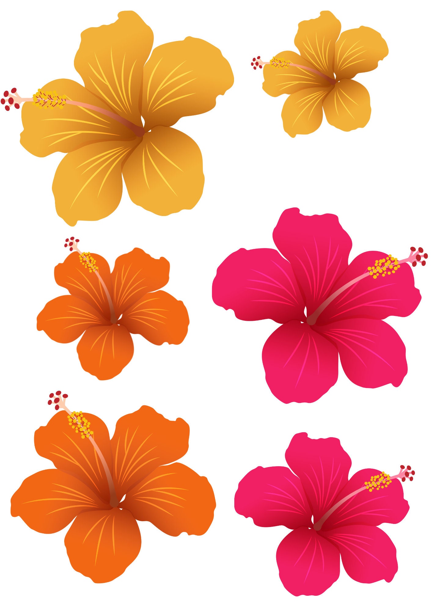 Summer Bulletin Board Printable, Christian Bulletin Board, Growth ...