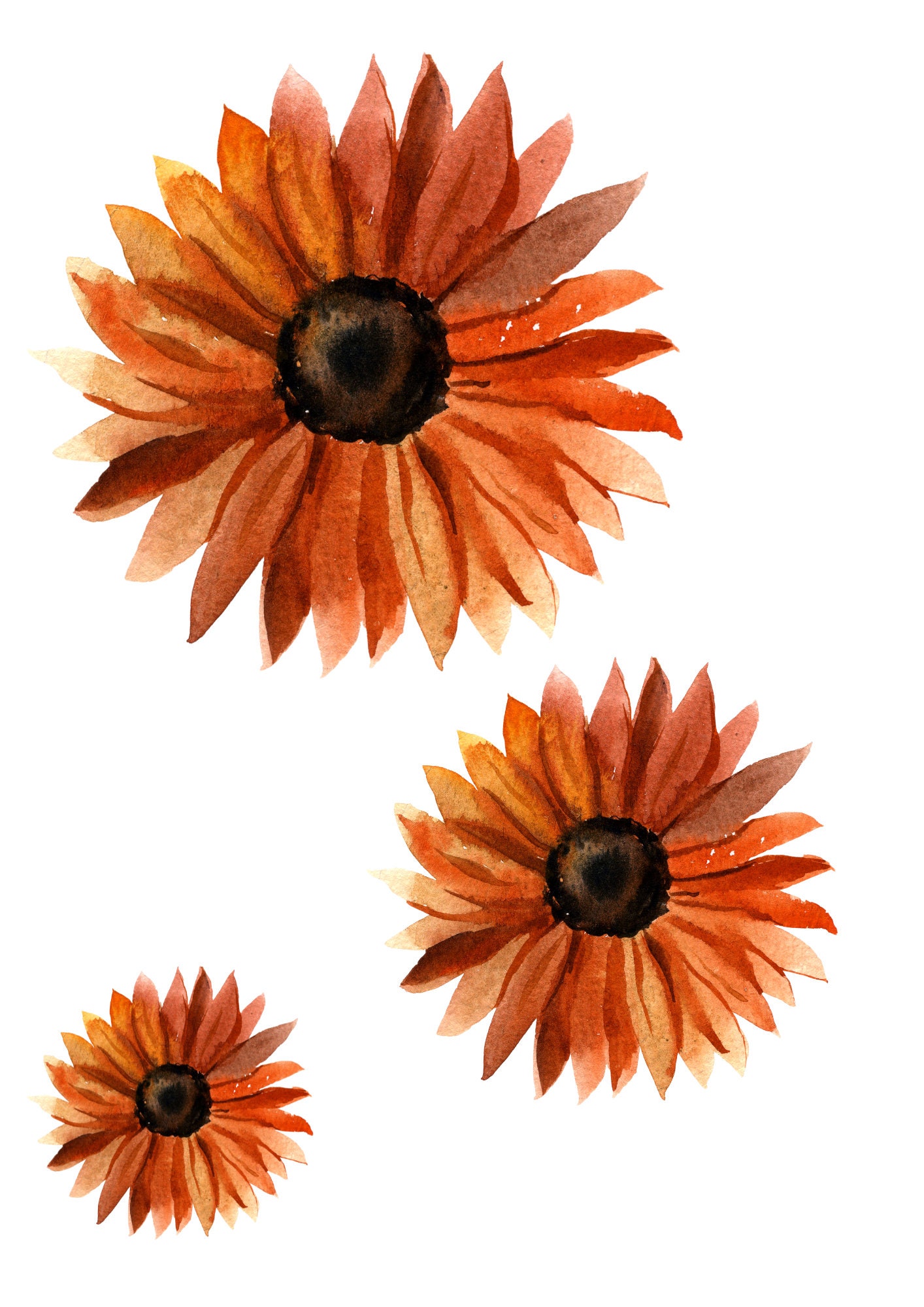 Fall Woodland Animals Bulletin Board Printable: Classroom Decor (A4 PDF ...