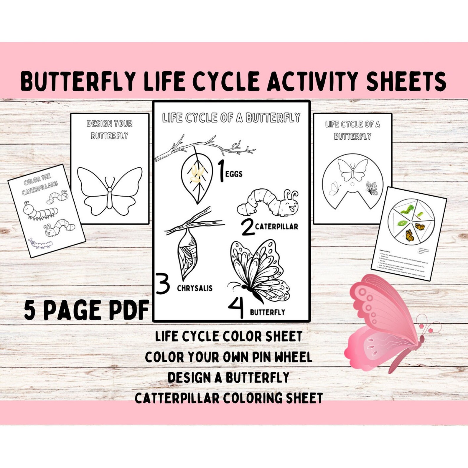 Butterfly Life Cycle Craft Printable, Butterfly Life Cycle Printable ...