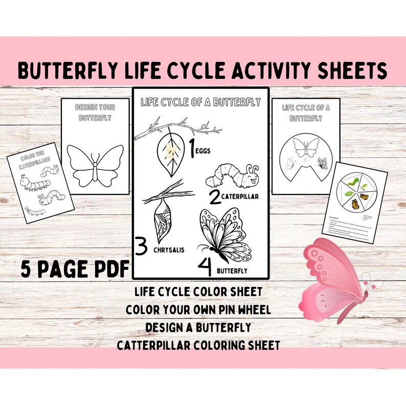 Butterfly Life Cycle Craft Printable, Butterfly Life Cycle Printable ...
