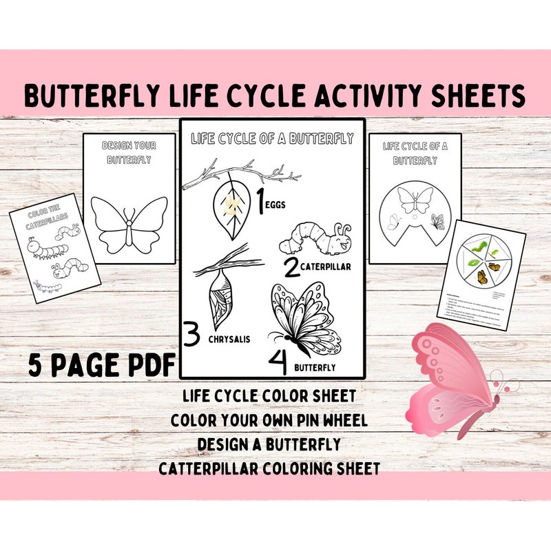 Butterfly Life Cycle - Etsy