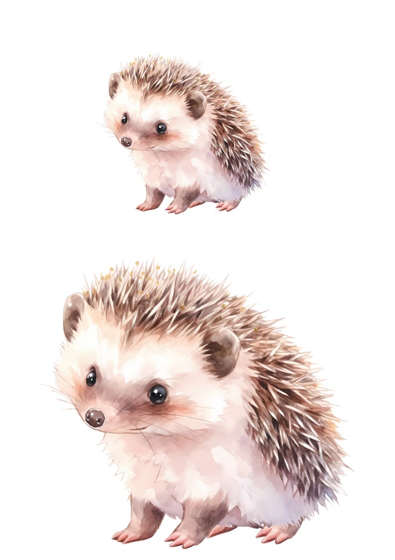 Woodland Winter Bulletin Board Printable, Woodland Animals Bulletin ...