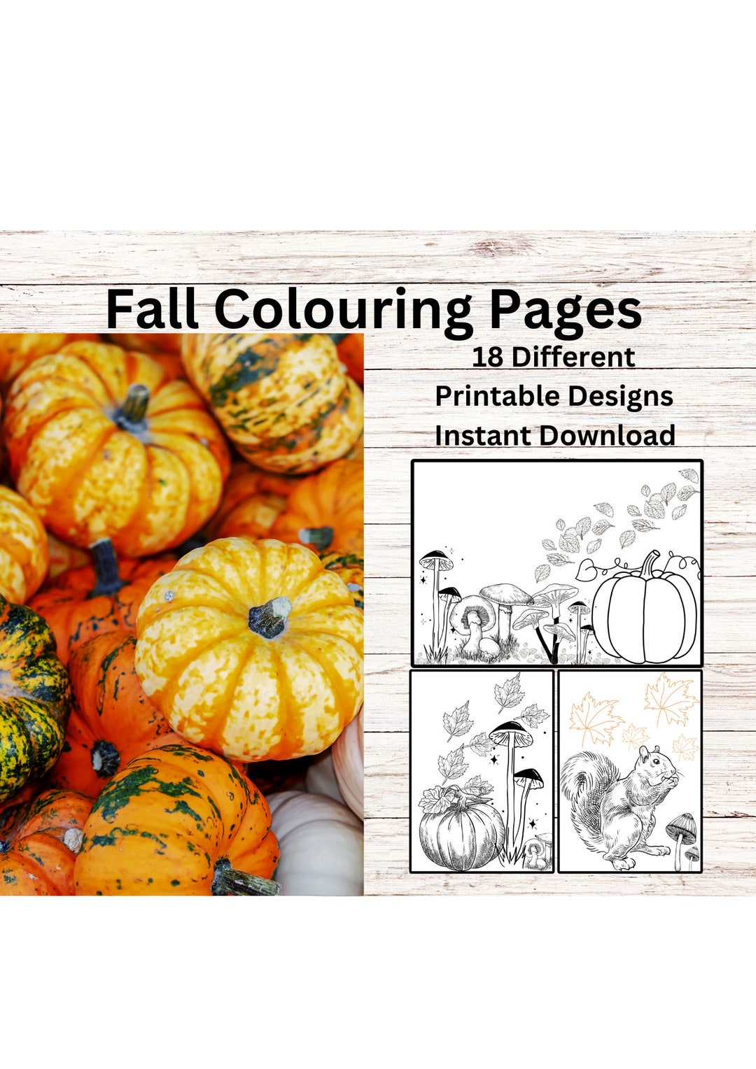 Fall Coloring Page Printable 18 Page Pack, Teacher Resource, Fall ...