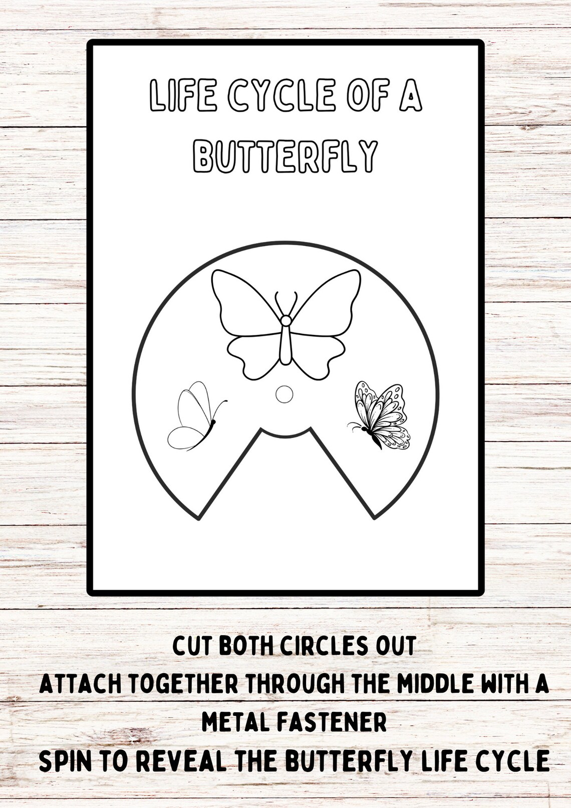 Butterfly Life Cycle Craft Printable, Butterfly Life Cycle Printable ...