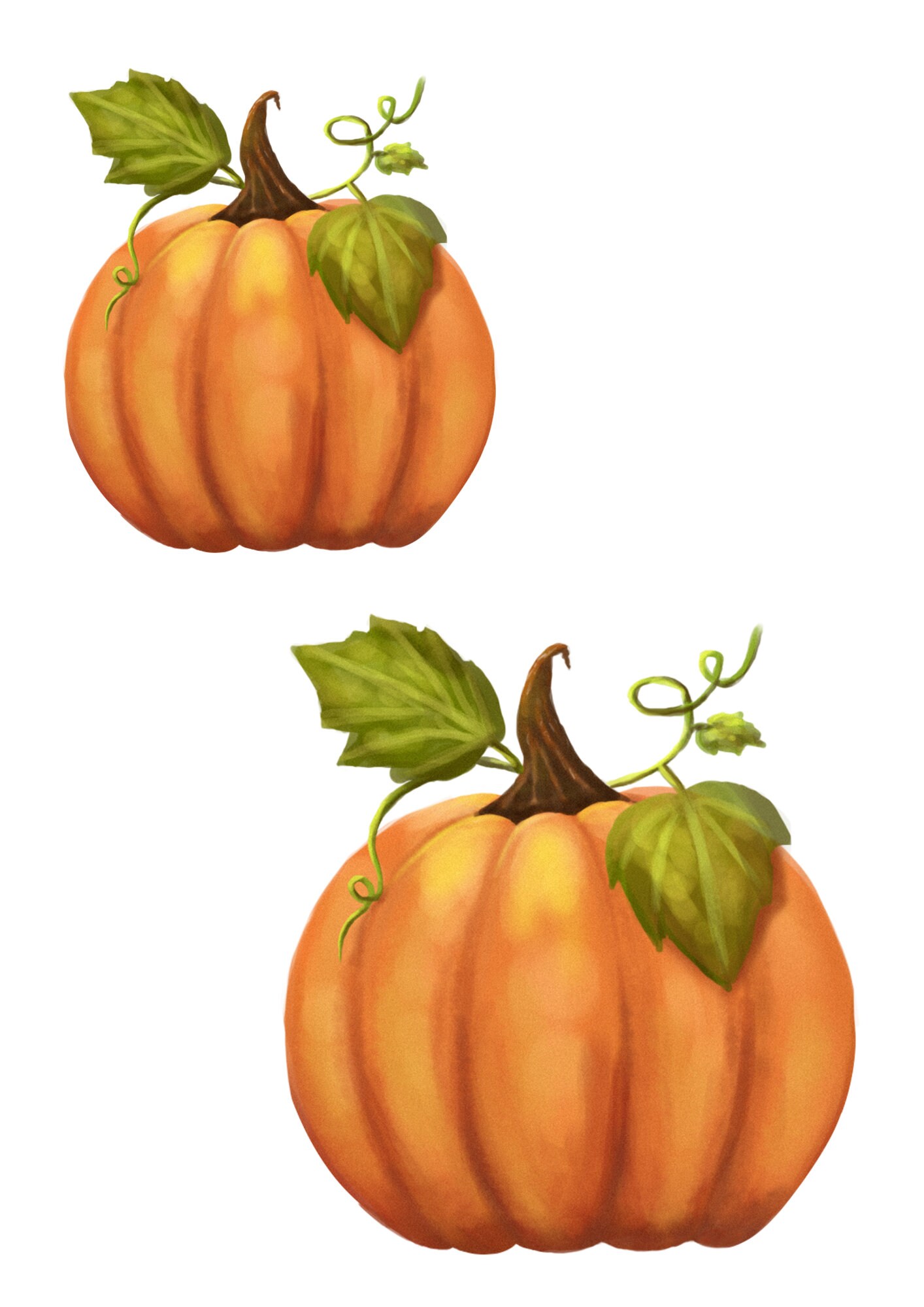 Highland Cow Fall Bulletin Board Printable: Autumn Classroom Decor (A4 ...