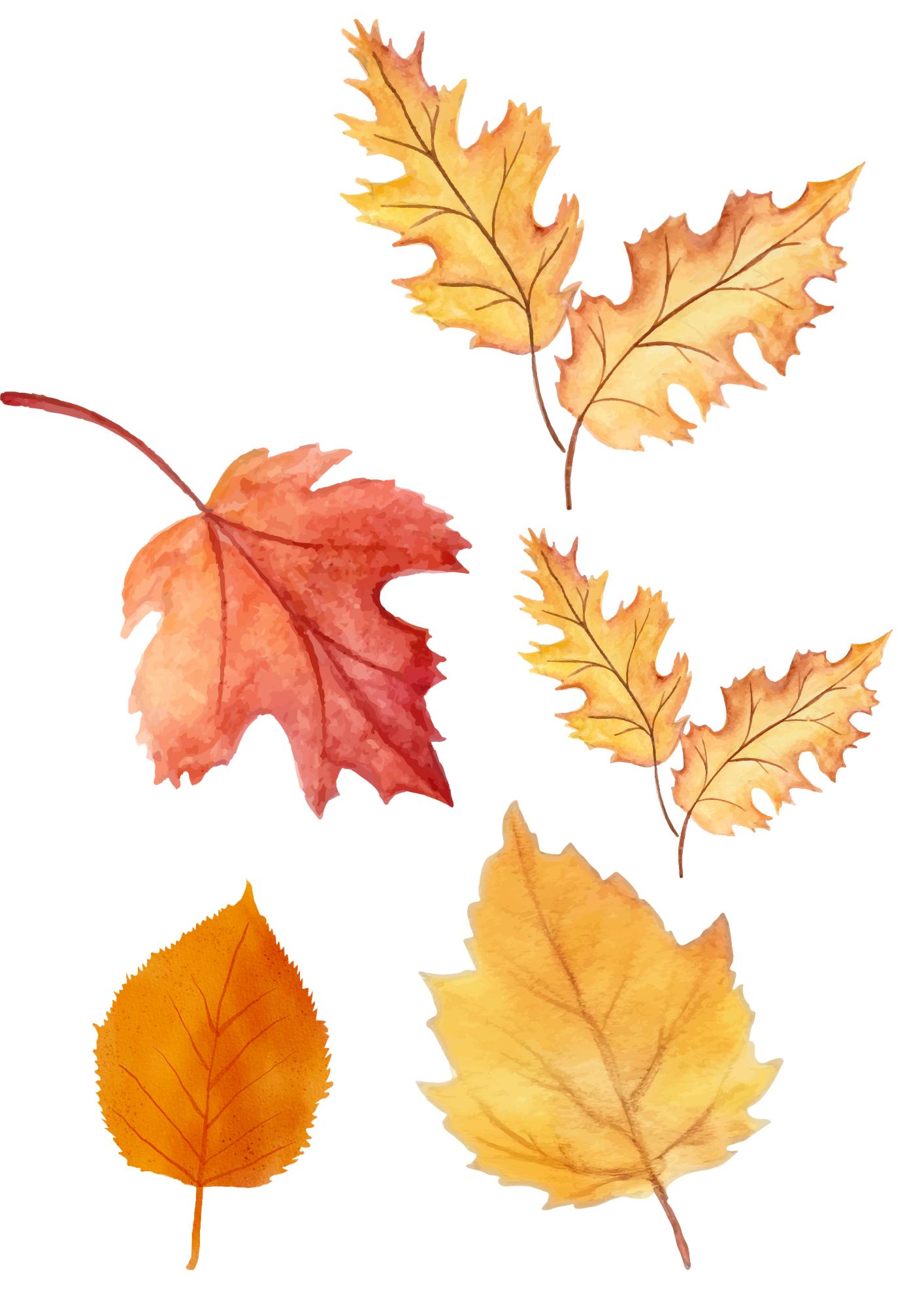 Capybara Bulletin Board Printable, Fall Bulletin Board, Pumpkin ...