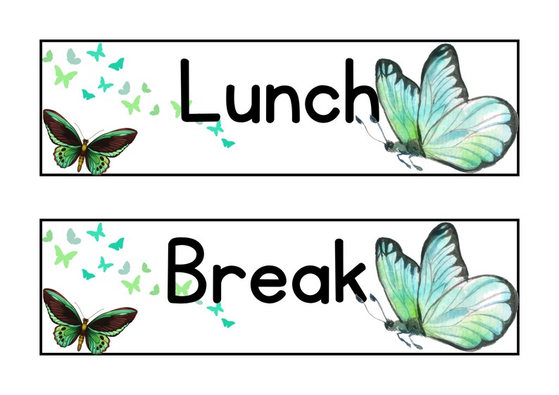 Butterfly Visual Class Schedule, Butterfly Bulletin Board, Visual ...