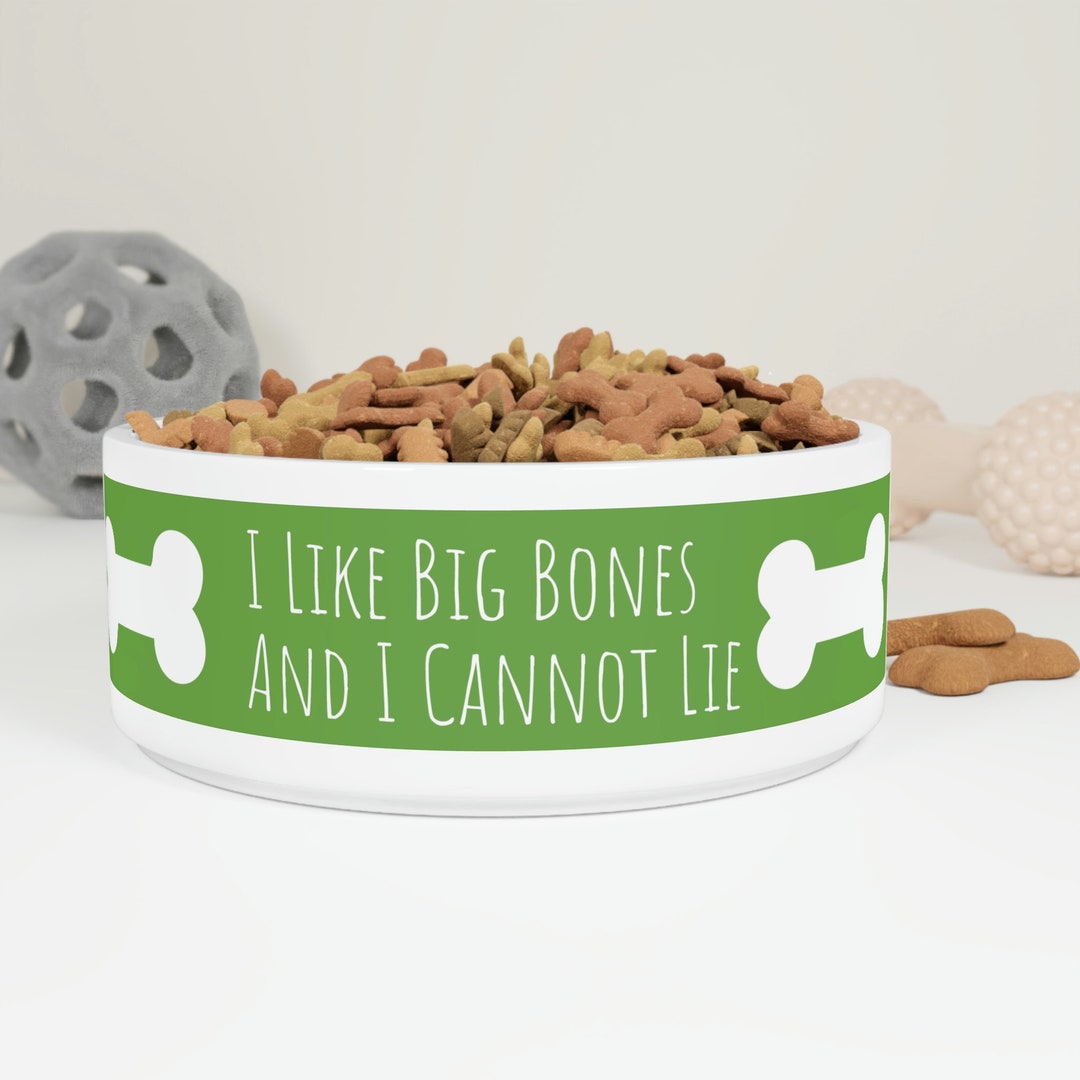 I Like Big Bones Puppy Bowl, Green Pet Bowl, Puppy Bowl, Pet Bowl - Etsy