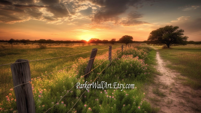 10 Scenic Backgrounds | Digital Download - Etsy