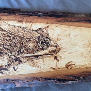 Frog - Art - Wall Hanging - Wood Burning - Pyrography - Wood Working - Live Edge - Rustic - Etsy