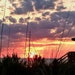 Sunset at the Beach, Manatee Florida, Red Sky, Sail Boats, Manatee ...