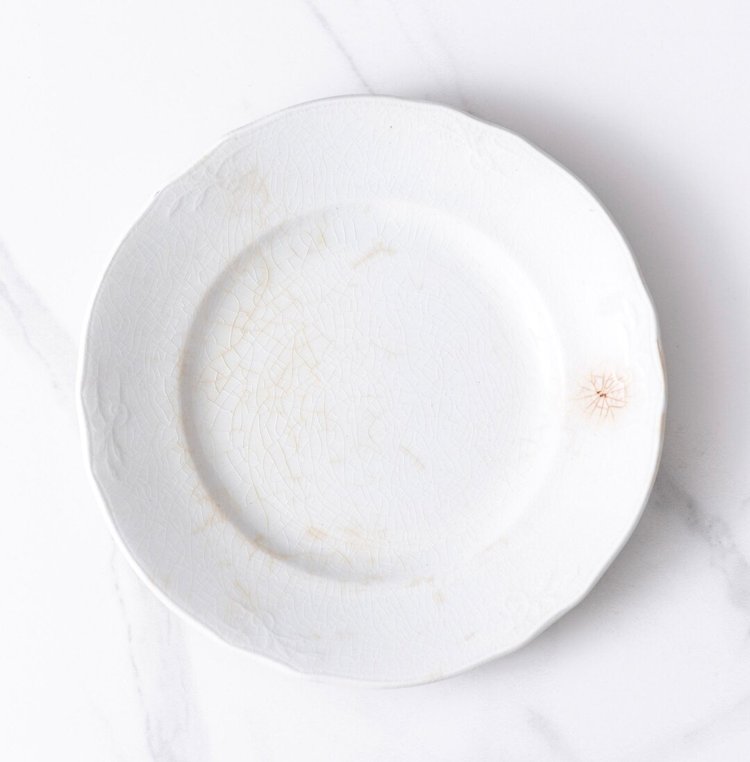 Antique White Ironstone Stained Plate Alfred Meakin England - Etsy